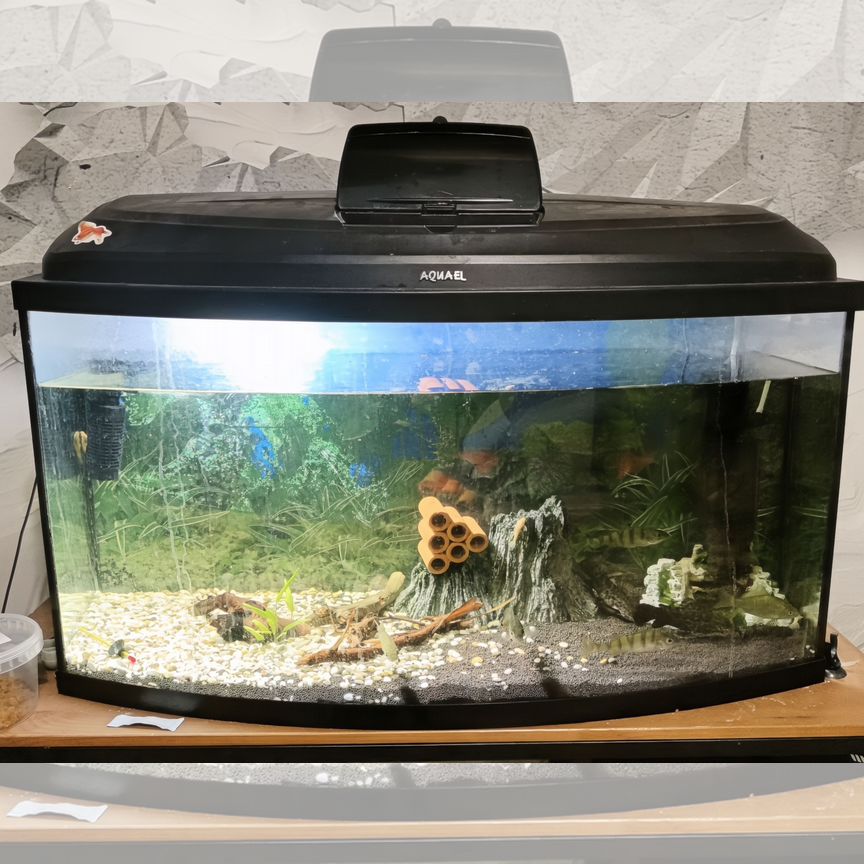 Аквариум акуэль 100л