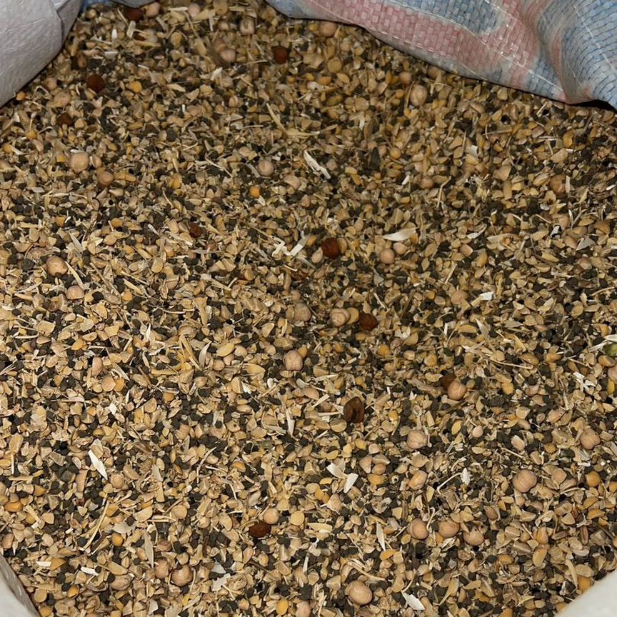 Отходы нута