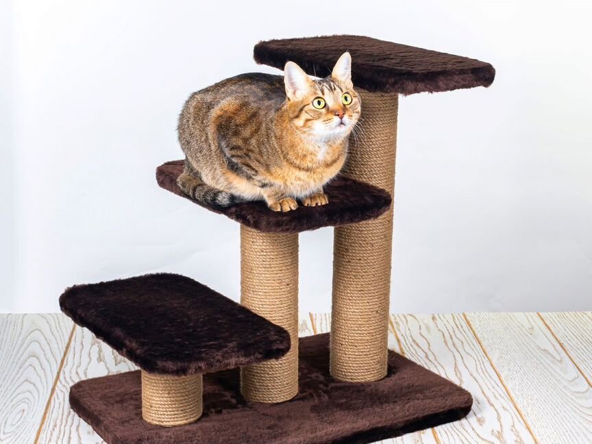 Когтеточка - ступенька