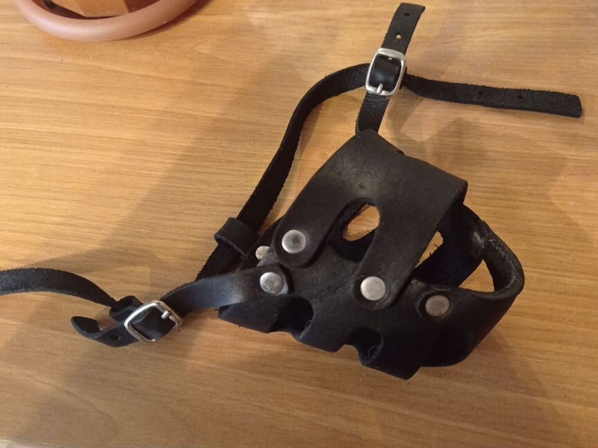 Намордник для собак