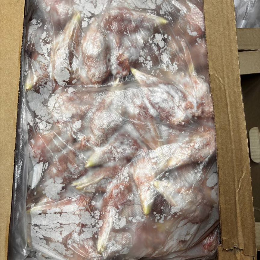 Головы индейки