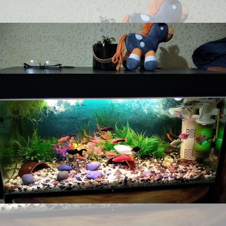 Продам аквариум бу