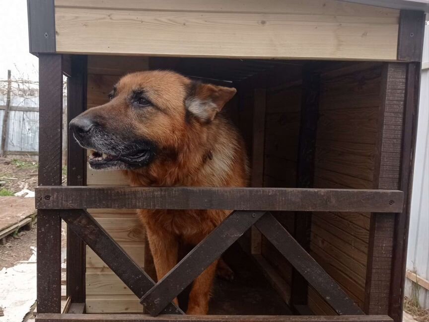 Будка для собаки (домик для вашего друга, питомца)