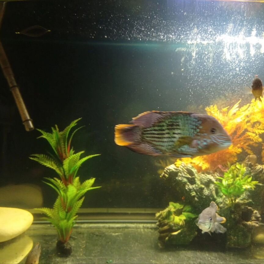 Аквариум 320 литров