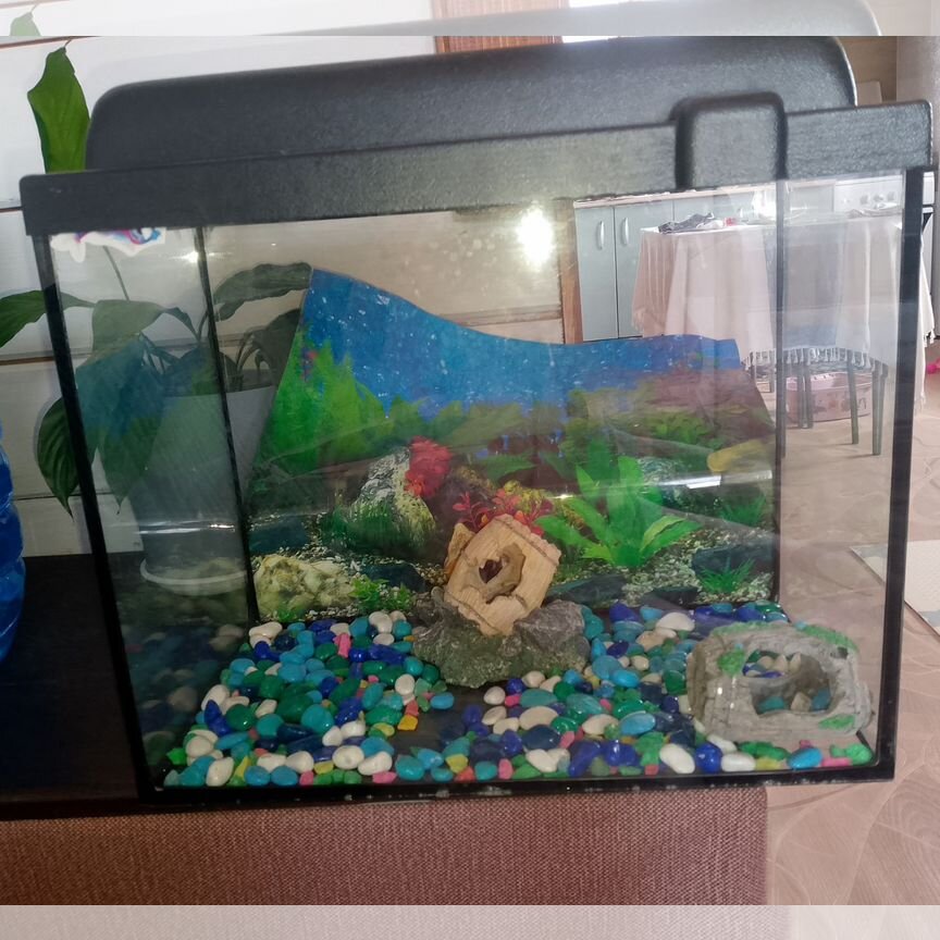 Аквариум 20л