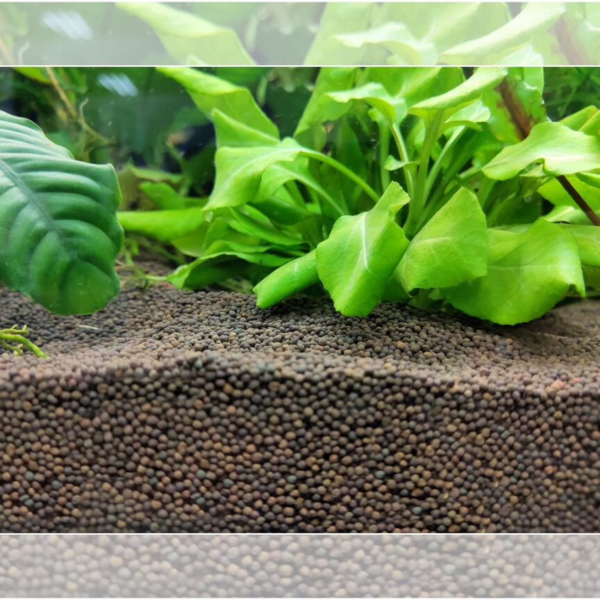 Грунт для аквариума