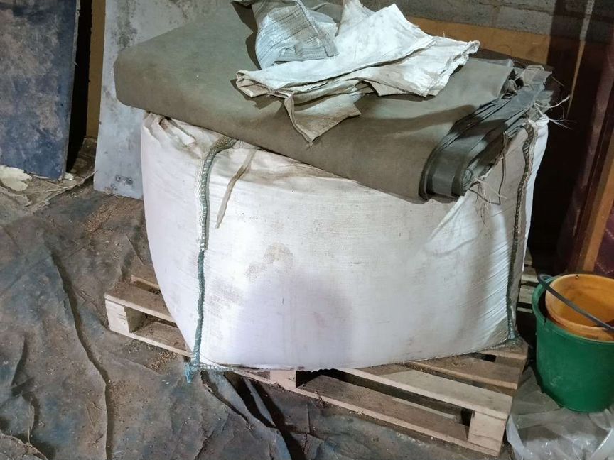 Семена озимой пшеницы