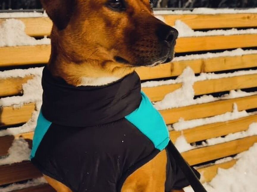 Бухту дважды предали