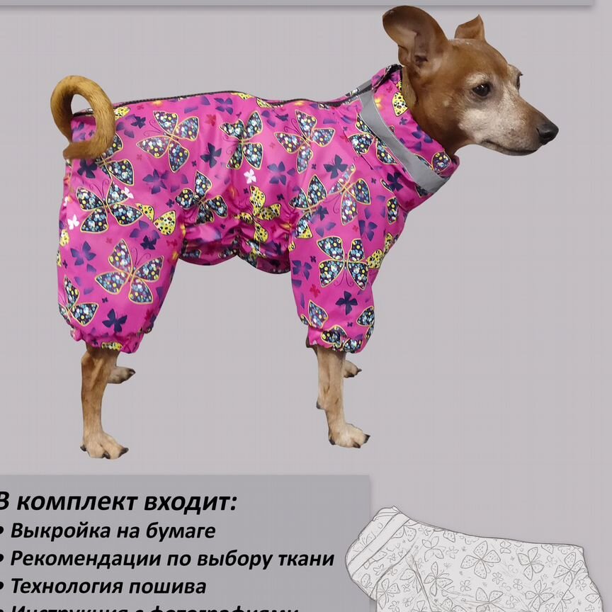 Выкройка комбинезона для собаки