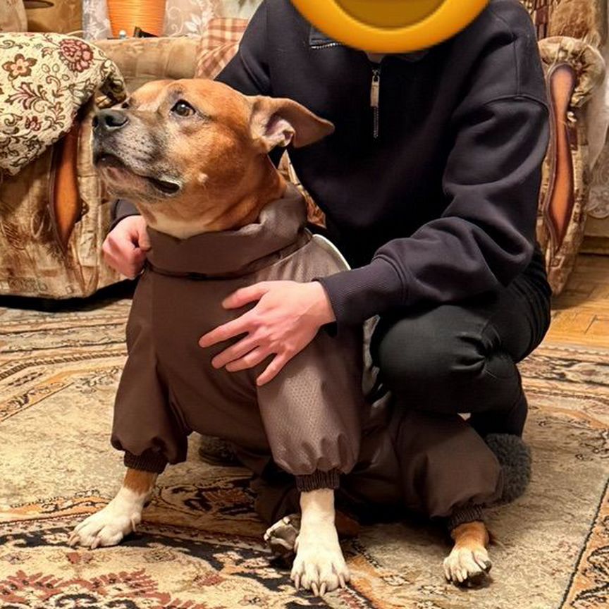 Зимний комбинезон для средней и большой собаки