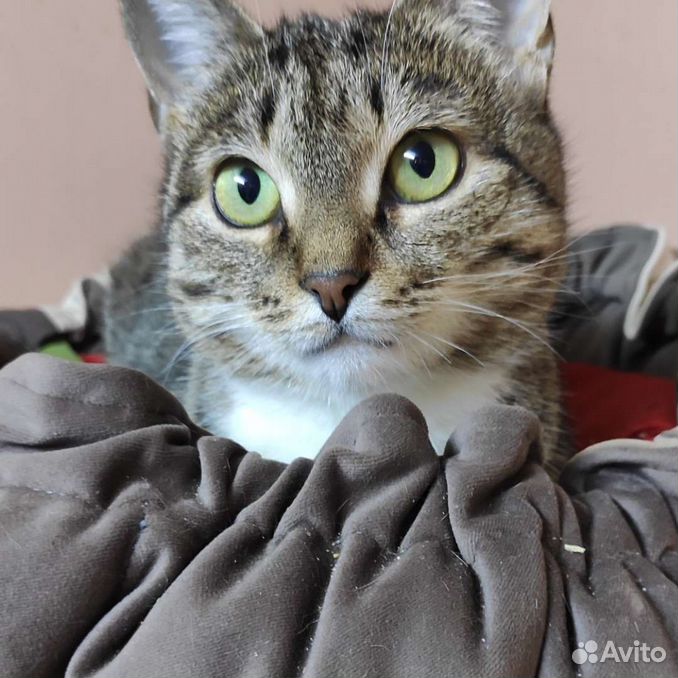 Обалденная Мусенька хочет в семью