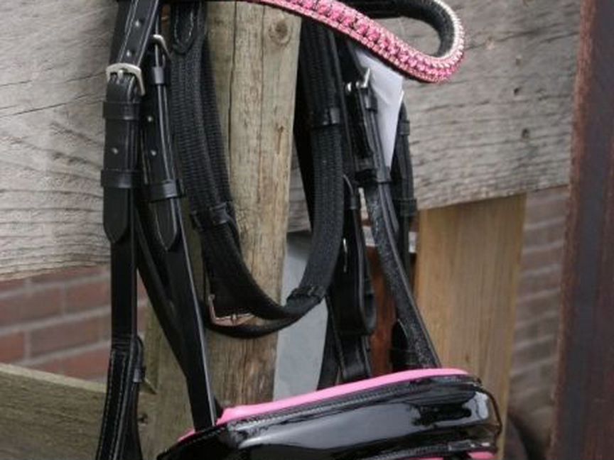 Уздечка для лошади