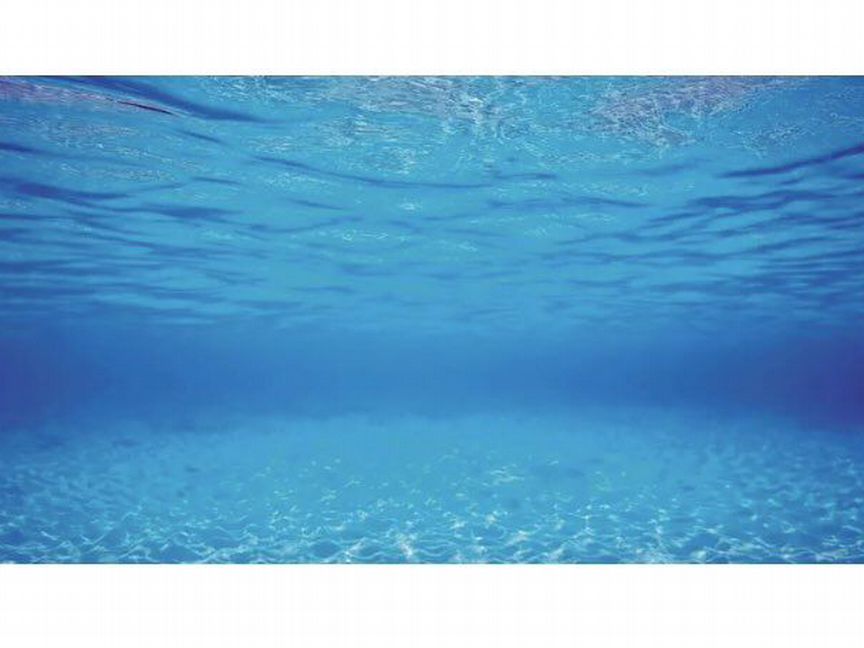 Фон для аквариума - Постер двусторонний