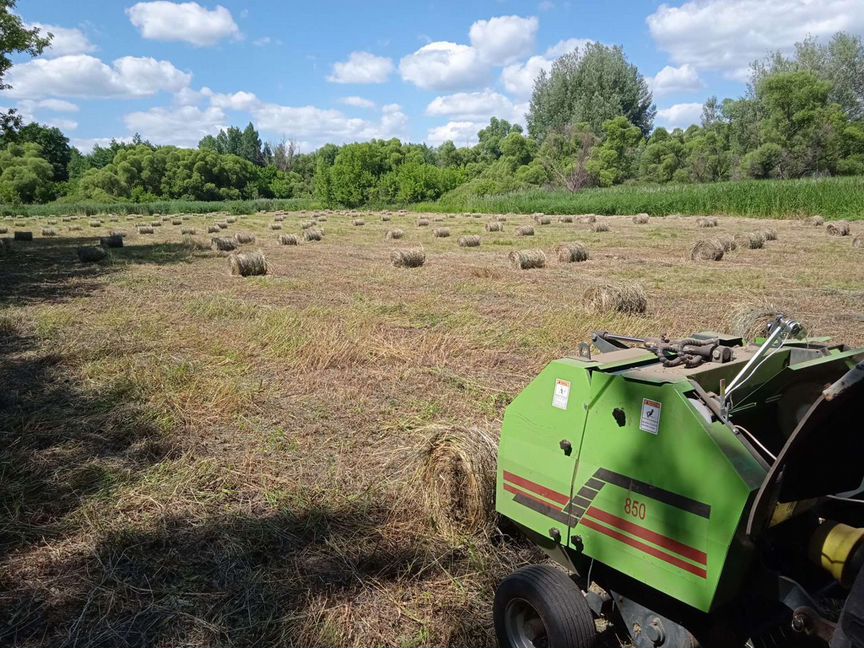 Продаётся сено в рулонах покос 2023 18-20кг