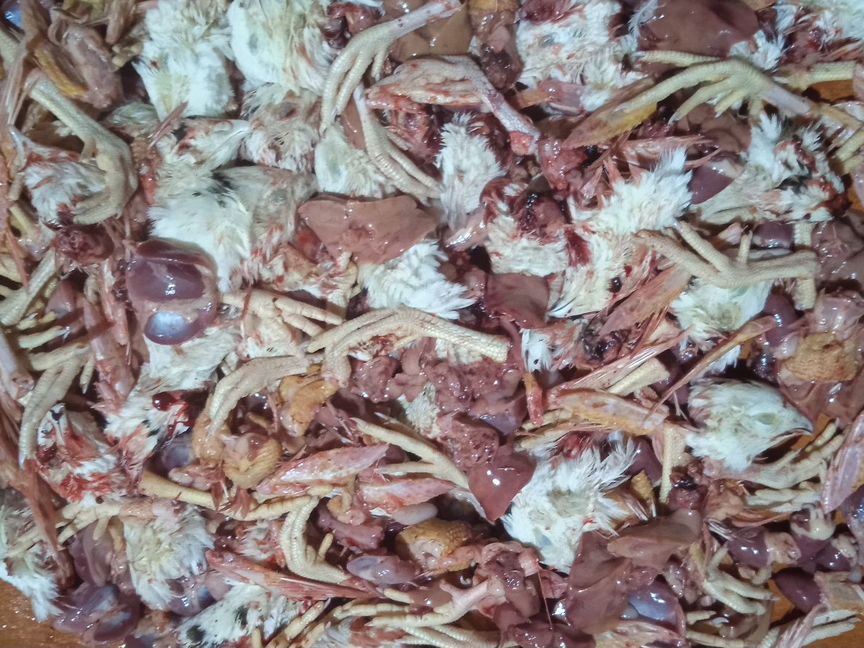 Лакомство для ваших питомцев