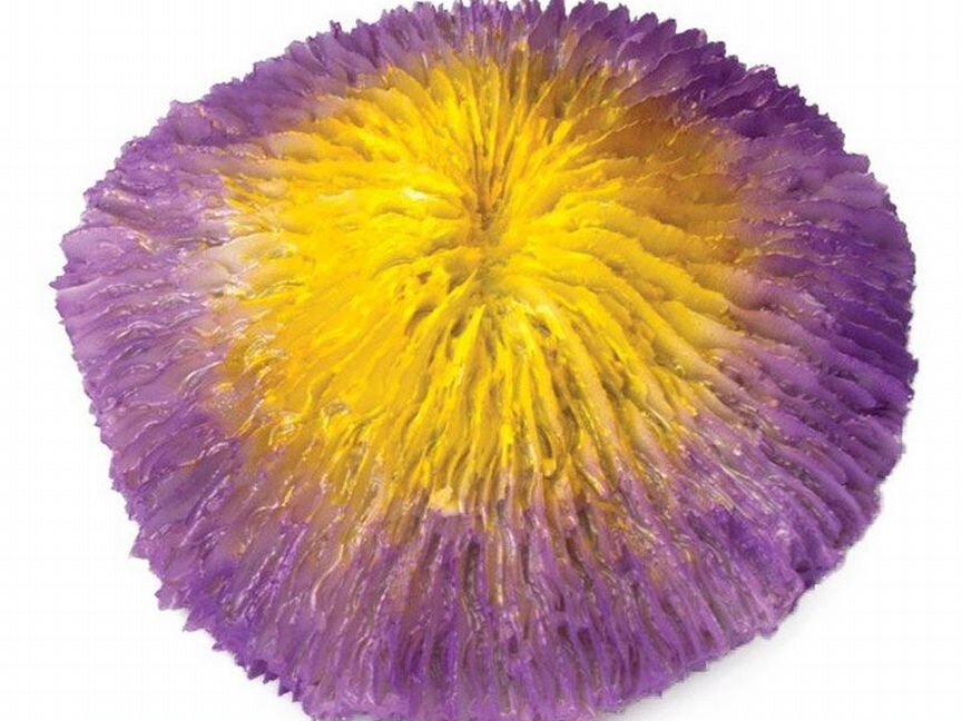 Коралл искусственный Laguna "Фунгия", ж