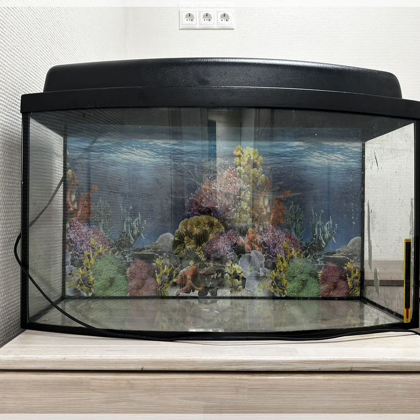 Аквариум с крышкой 50 литров