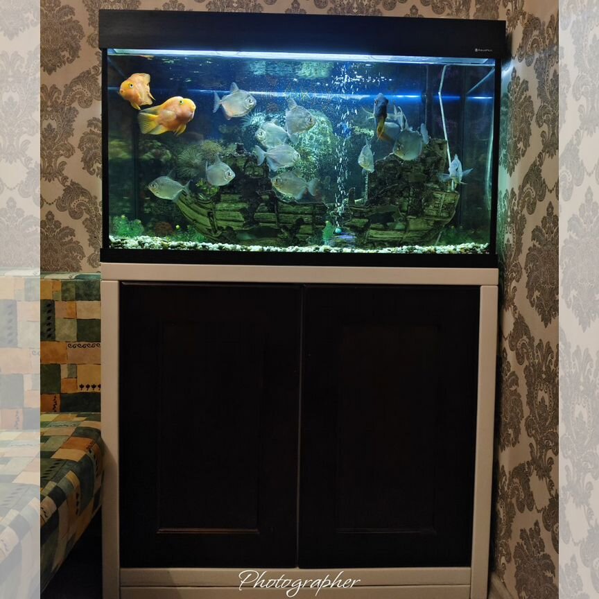 Аквариум от фирмы Aqua Plus