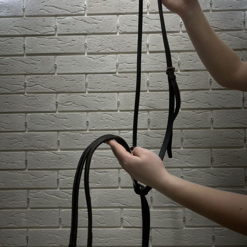 Мартингал для лошади Full