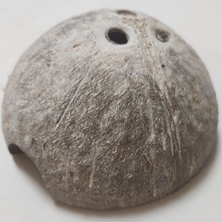 Домик из кокоса