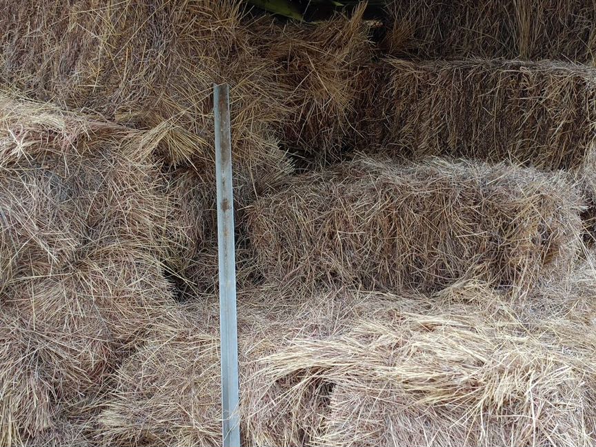 Сено в тюках