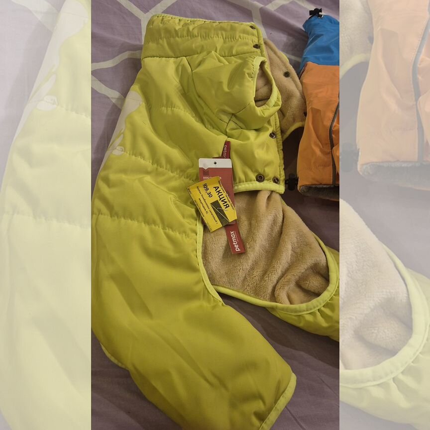 Одежда для собак