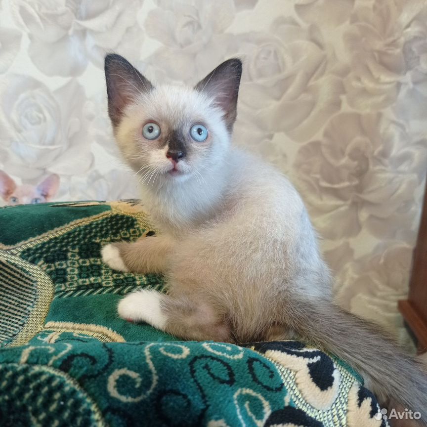 Очаровательный малыш