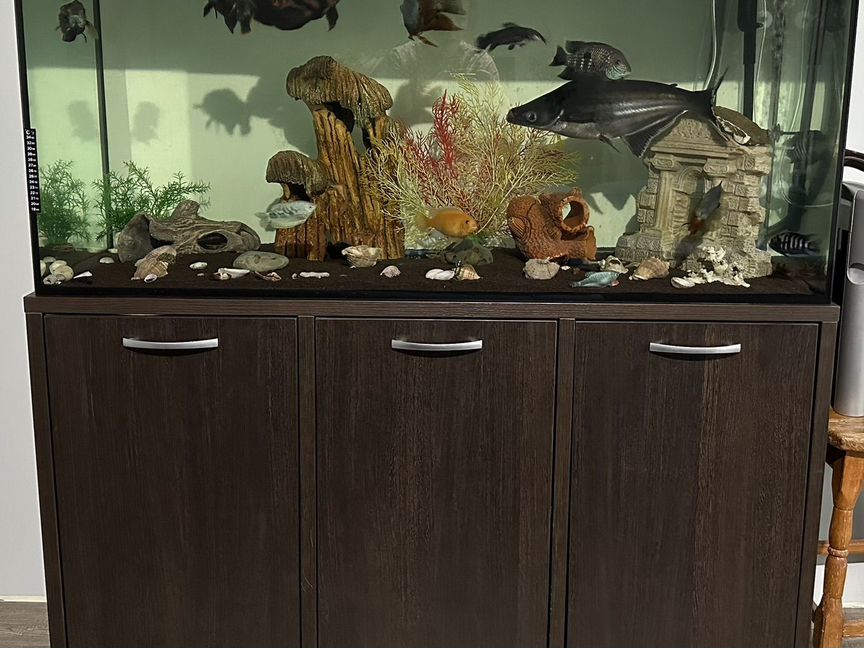 Аквариум 350л с тумбой