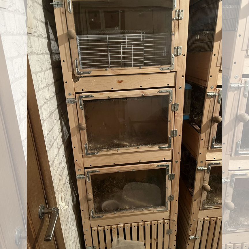 Витрина для грызунов / птиц