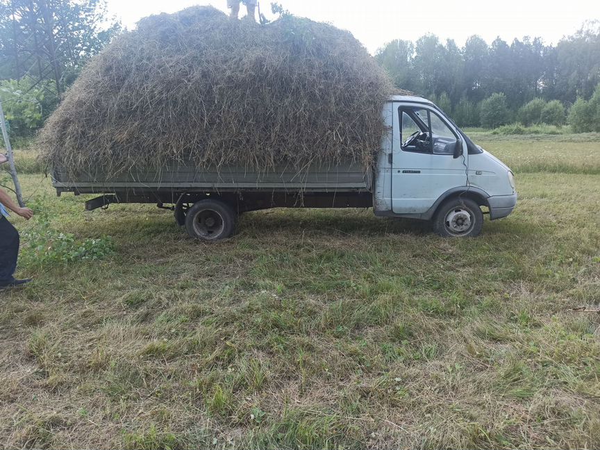 Сено луговое, с доставкой