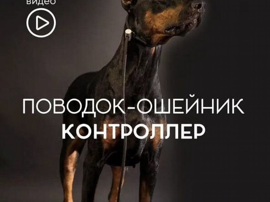 Поводок удавка с ограничителем 3 метра