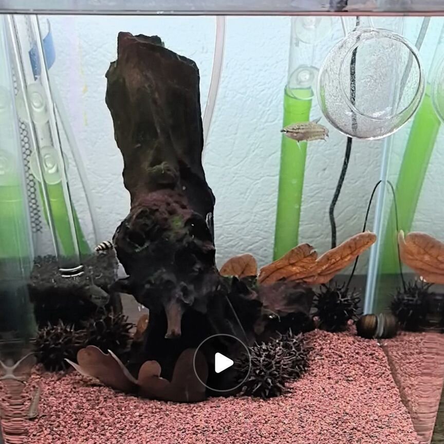 Аквариум Dennerle NanoCube(20л) с Fluval 207