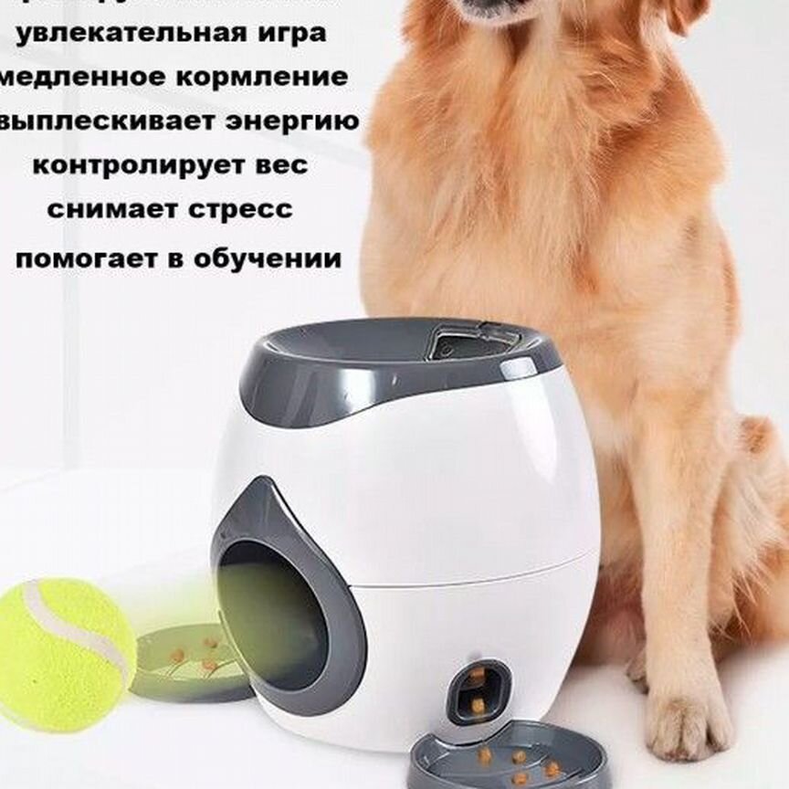 Автоматическая кормушка для собак