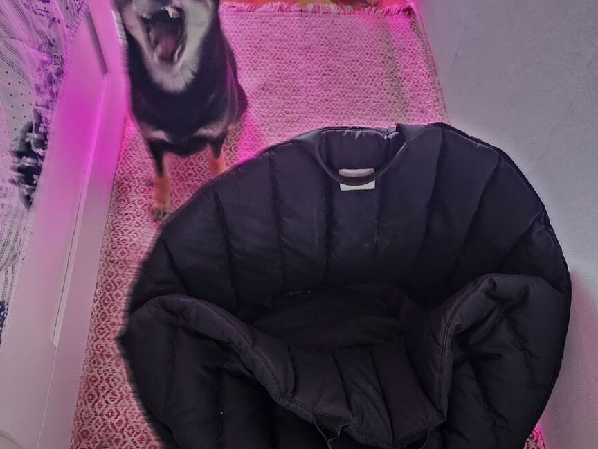 Автокресло для собак от HuntingPony