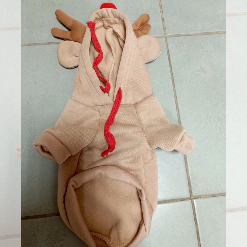 Одежда для маленькой собачки