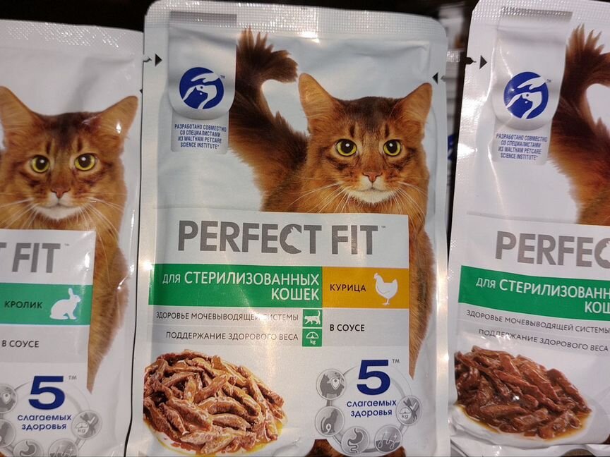 Сухой и влажный корм для кошек