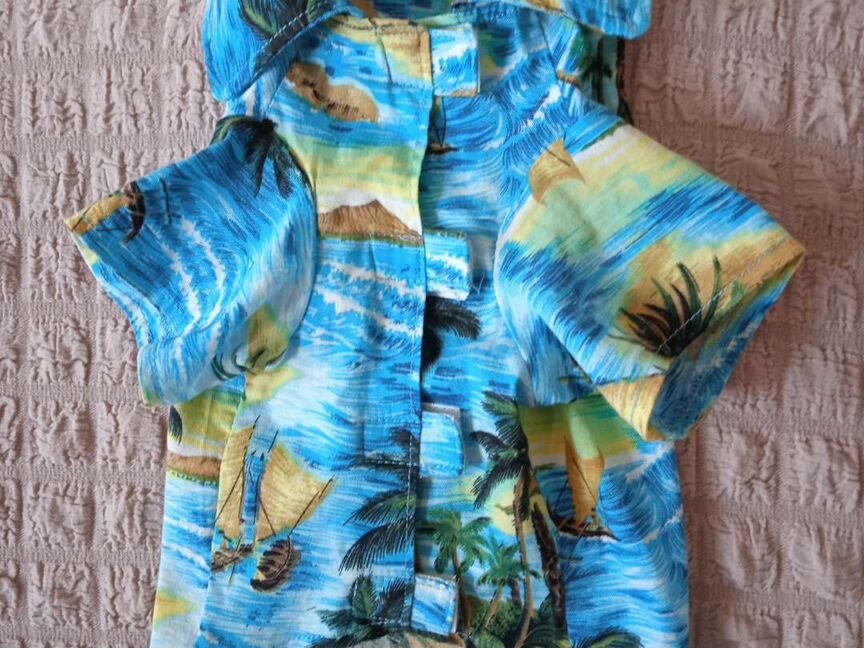 Рубашка и комбинезон для маленьких собак