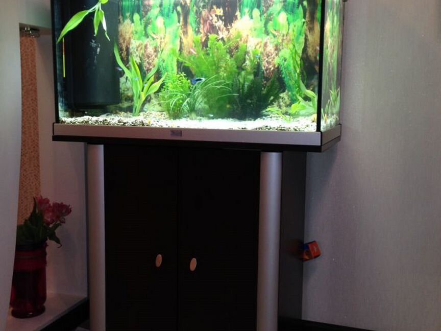 Aquatlantis ambiance 80