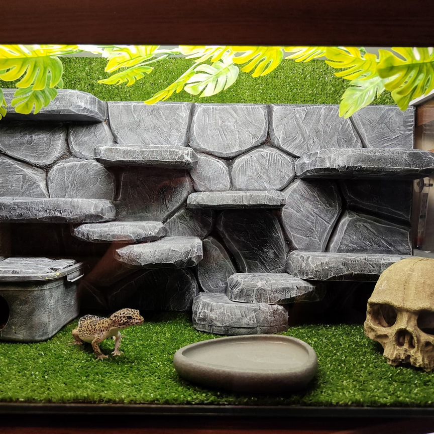 Фон для террариума 3D