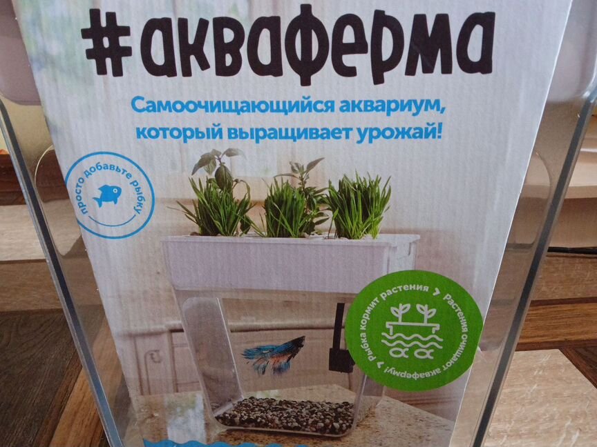 Акваферма