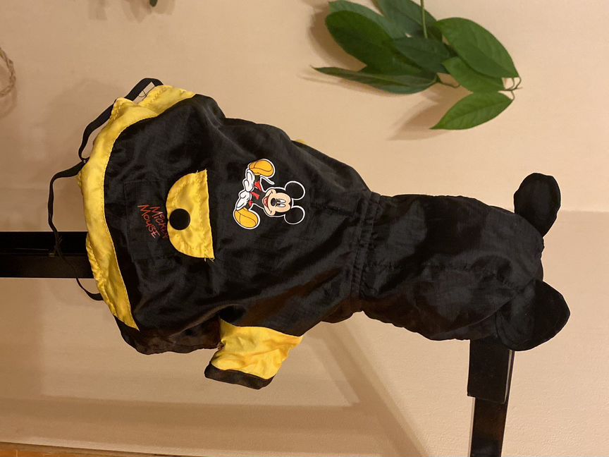 Куртка для собак мелких пород