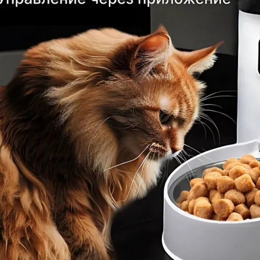 Автоматическая кормушка для животных