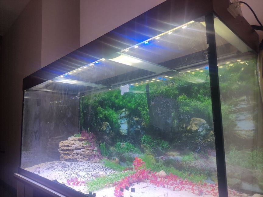 Аквариум с тумбой 500 литров