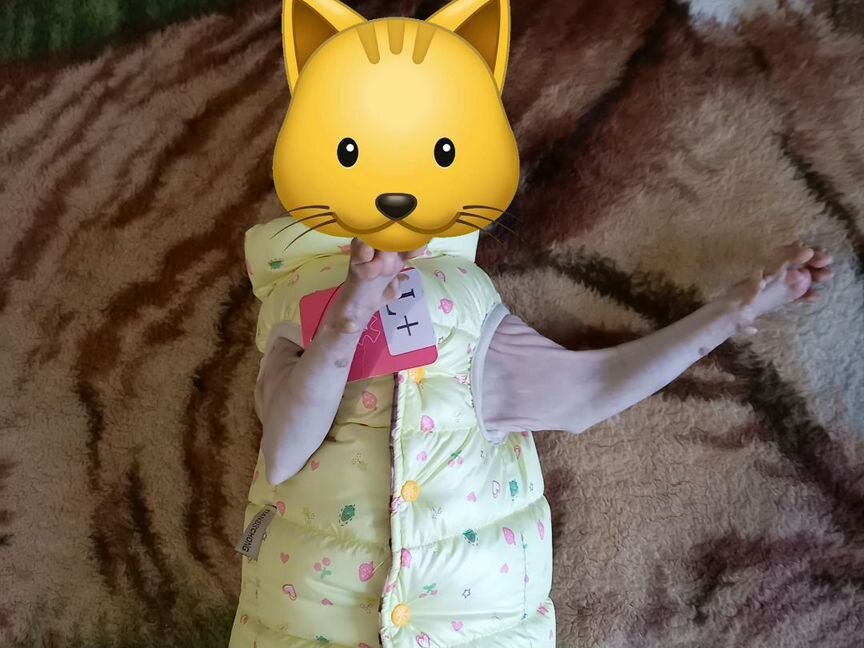 Одежда для кошек сфинкс