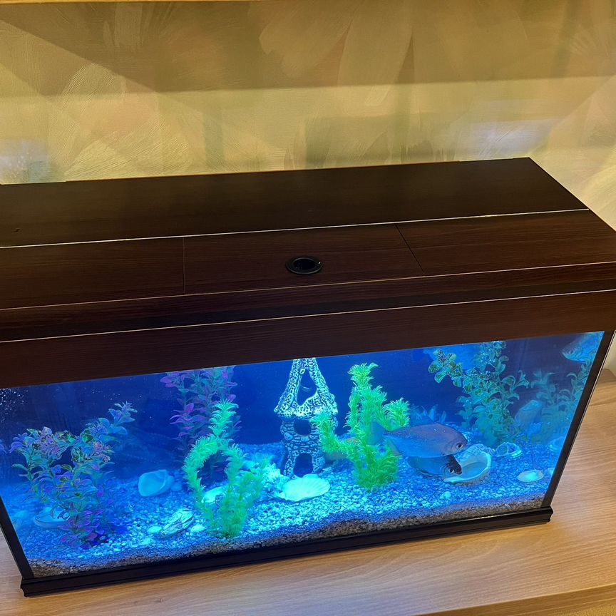 Аквариум на 100литров