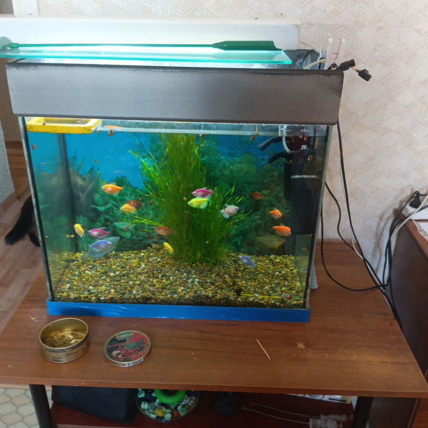 Аквариум с рыбками