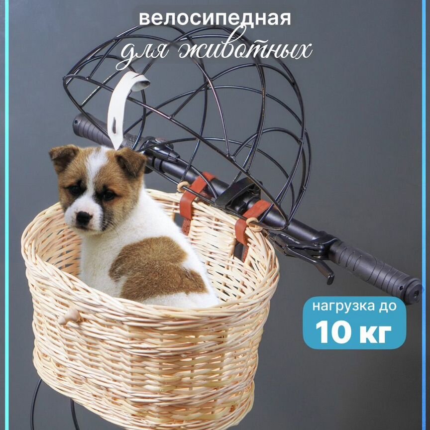 Велосипедная корзина для животных