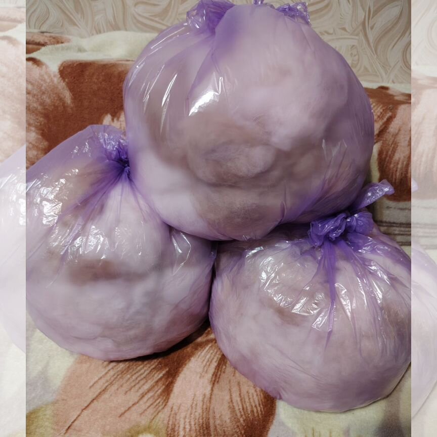 Собачий пух шпица