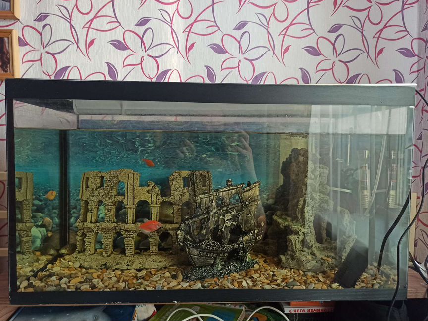 Аквариум