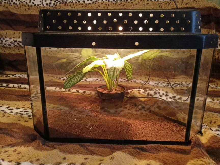 Террариум угловой